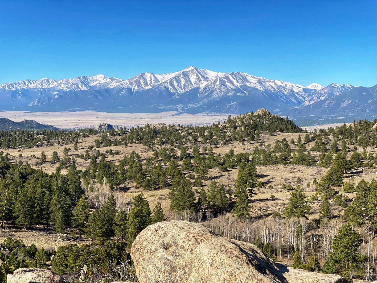 BV News - Mark Krasnow, Realtor